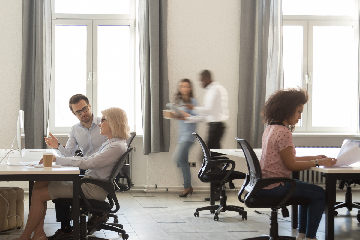 MVC Videra | About us