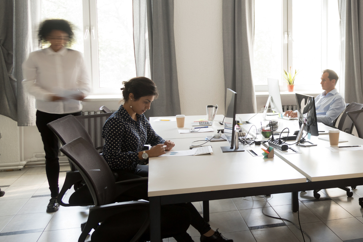 MVC Videra | About us