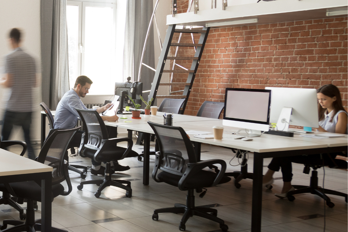 MVC Videra | About us